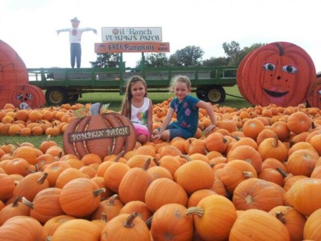 10 Awesome Pumpkin Patches in Houston, TX Your Family Will Love - ZuzuForKids