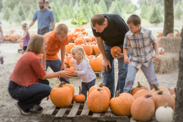 15 Fall Activities to Do with Kids - ZuzuForKids