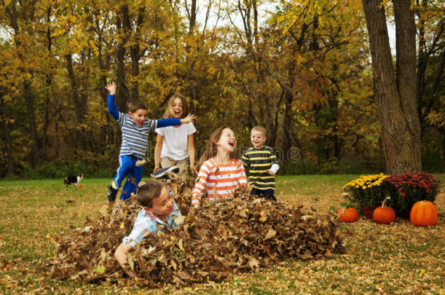 15 Fall Activities to Do with Kids - ZuzuForKids