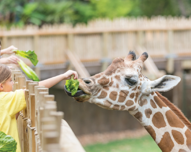A Day Out at the Fort Worth Zoo - ZuzuForKids