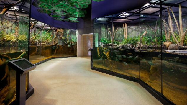 A Day Out at the Fort Worth Zoo - ZuzuForKids