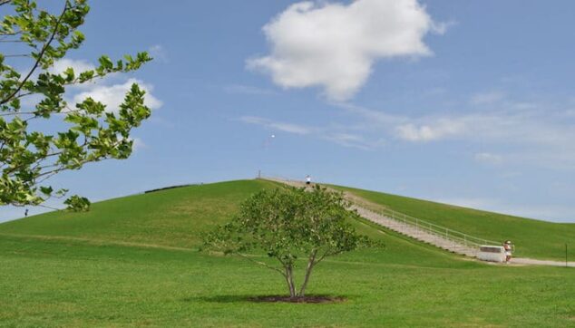 What to Expect at Mount Trashmore Park | A Fun, Exciting Adventure ...