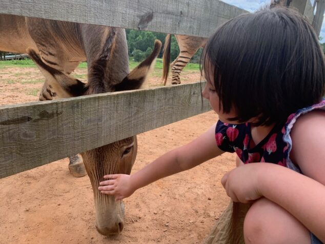 The 5 Best Zoos in Georgia for Families - ZuzuForKids