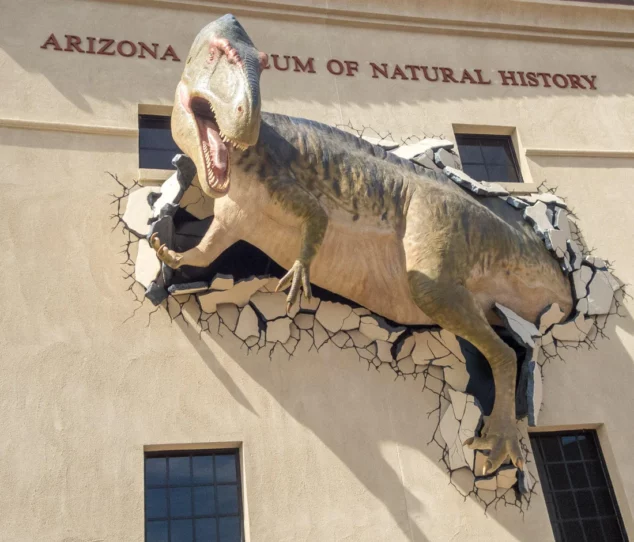 Journey Back in Time | Arizona Museum of Natural History - ZuzuForKids