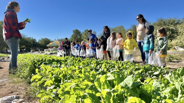 Fun Activities for Kids at Schnepf Farms - ZuzuForKids