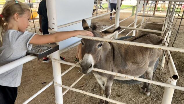 Fun Activities for Kids at Schnepf Farms - ZuzuForKids